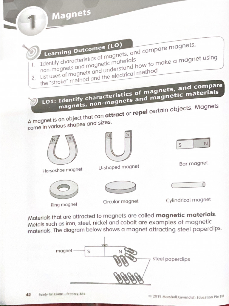 RFE - Magnets | PDF