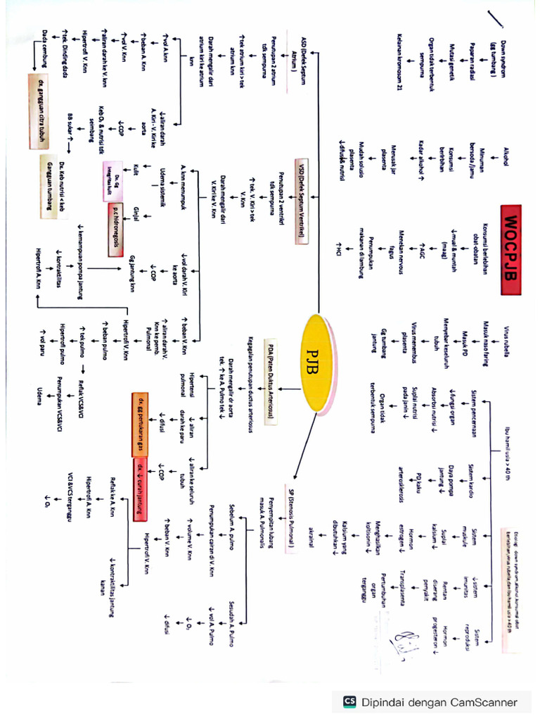 WOC + Resume + Askep PICU | PDF