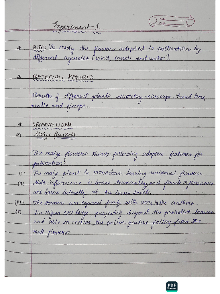 Biology Observation | PDF