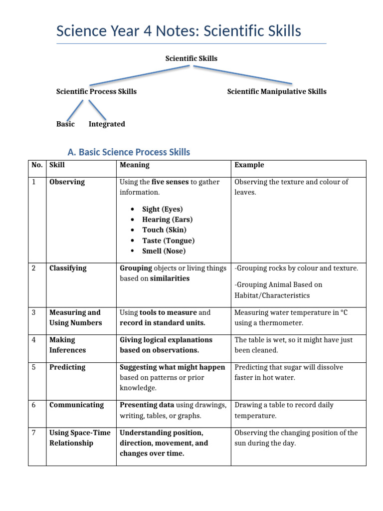 Science Year4 Scientific Skills Notes | PDF | Experiment | Science