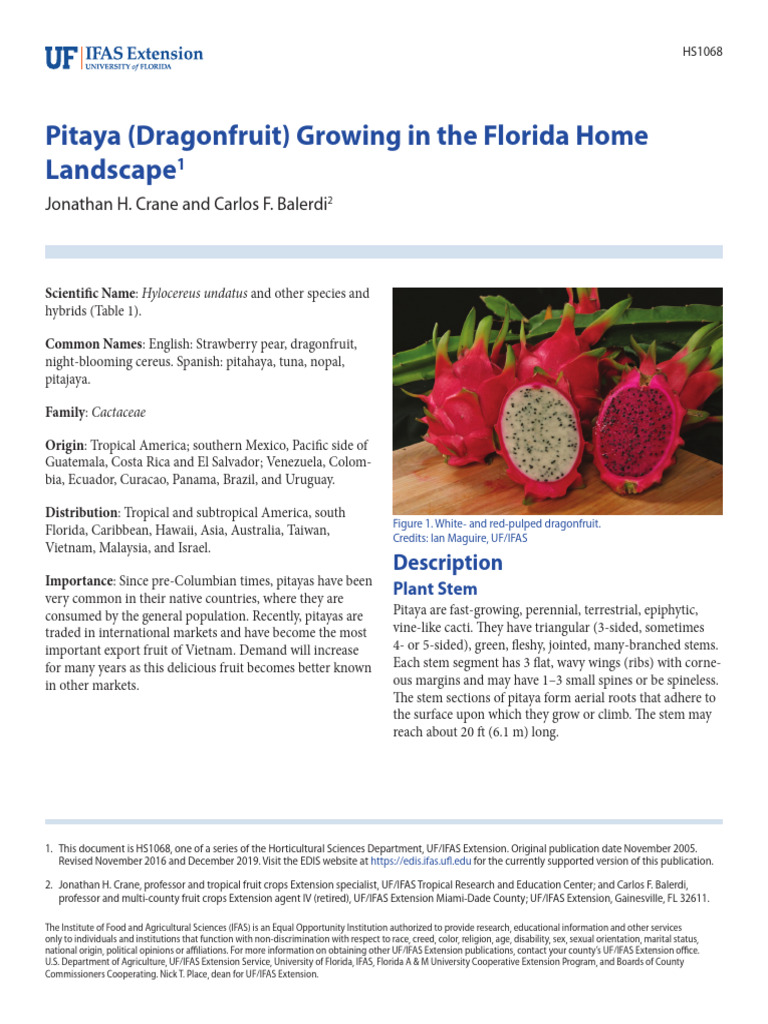 Pitaya (Dragonfruit) Growing in The Florida Home | PDF | Pruning ...