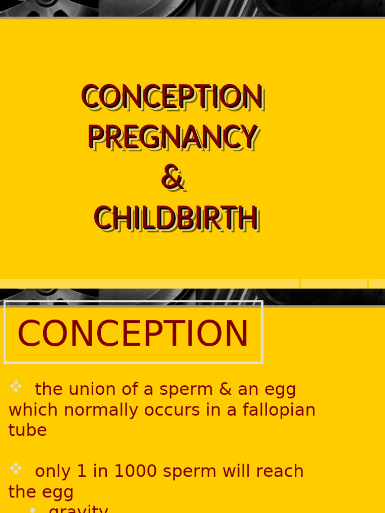 Chapter 4 Conception, Pregnancy Childbirth | PDF | Childbirth | Pregnancy