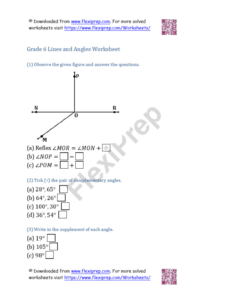 Grade 6 Lines and Angles Worksheet | PDF | Rotation | Elementary ...