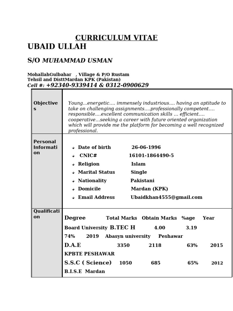 Ubaid Ullah (CV) 23 | PDF
