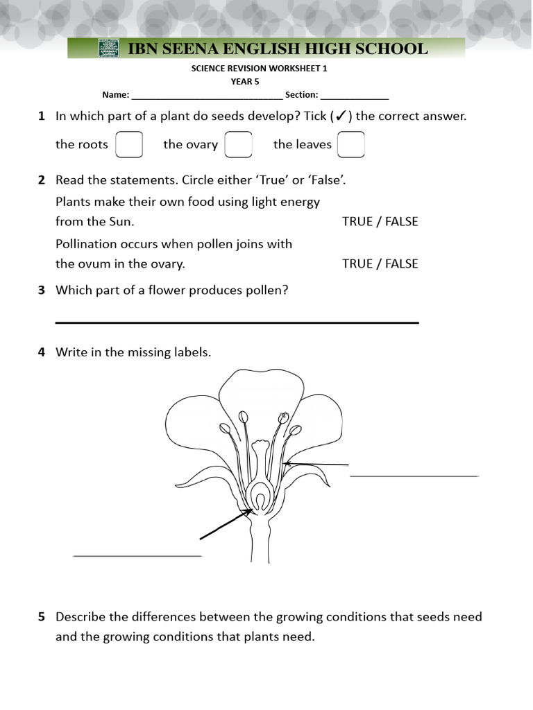 Rev Sheet 1 Plants 24-25.docx-1 | PDF