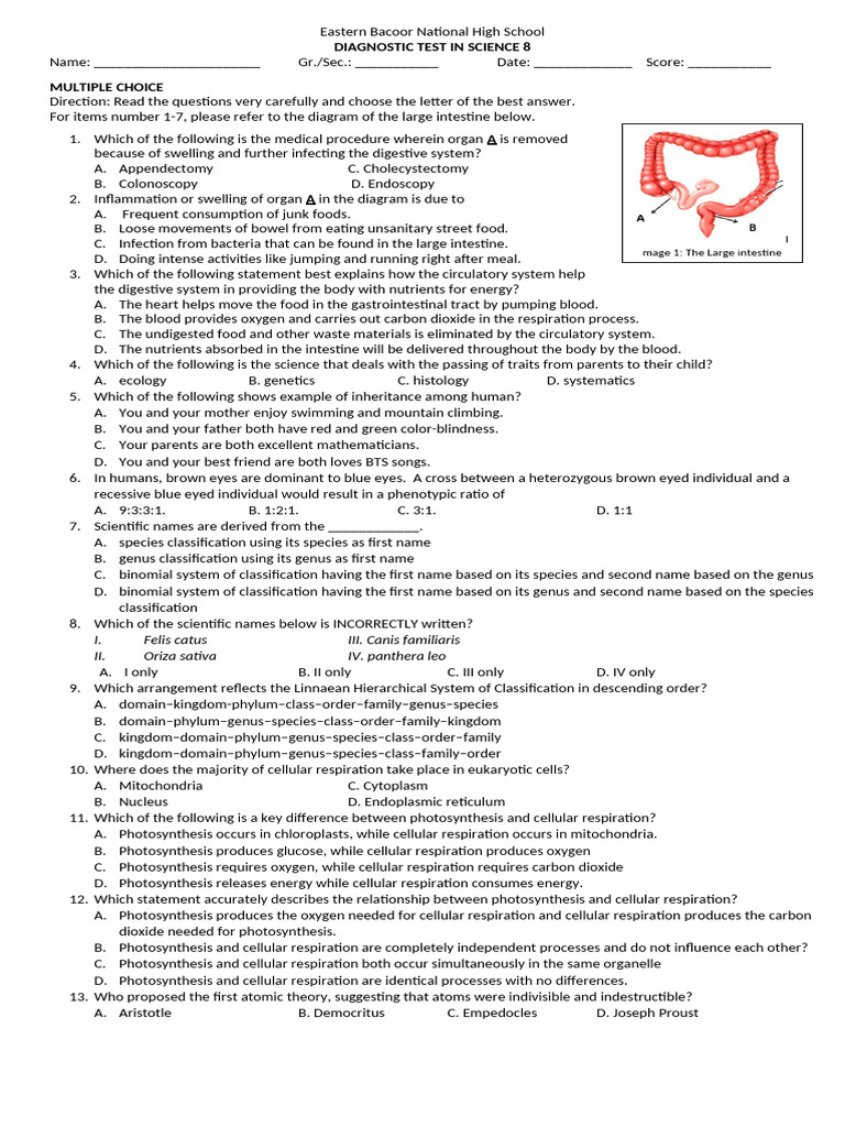 Science 8 Diagnostic Test Questions | PDF | Volcano | Tide