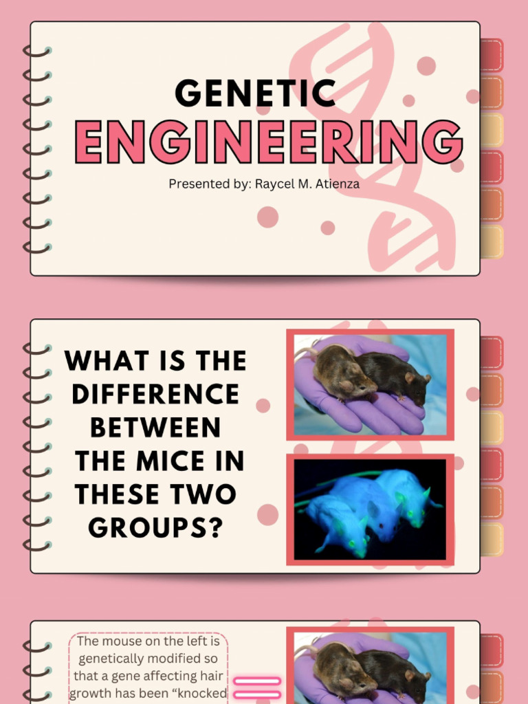 Genetic Engineering | PDF