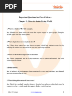 Chapter 2 Diversity in The Living World Extra Questions and Answers Class 6 Science | PDF | Leaf ...