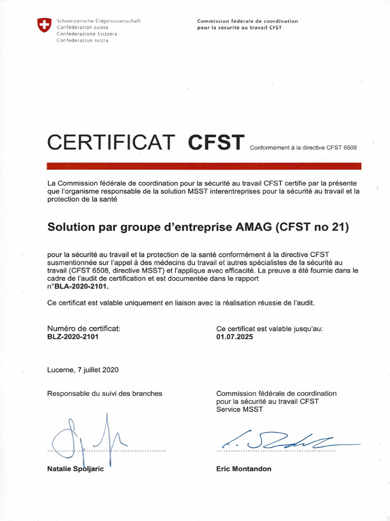 Certificat CFST - Pdf.coredownload | PDF