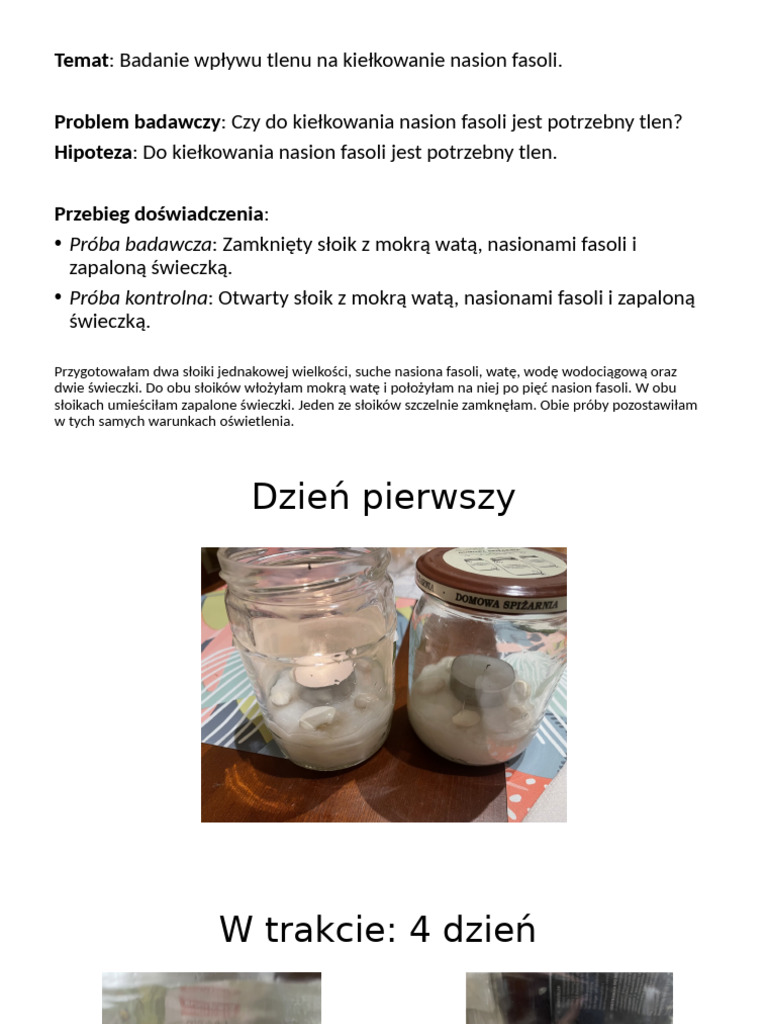 Kiełkowanie Fasoli | PDF