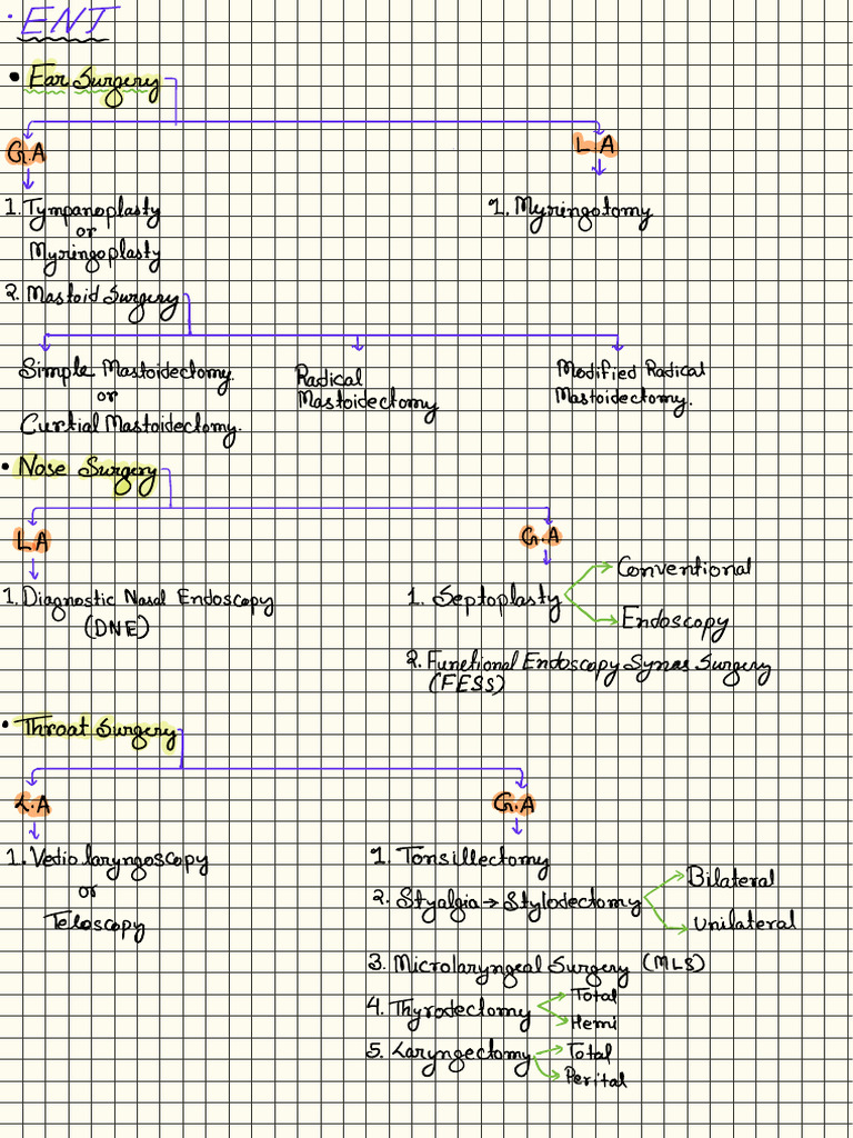 College Rough. | PDF