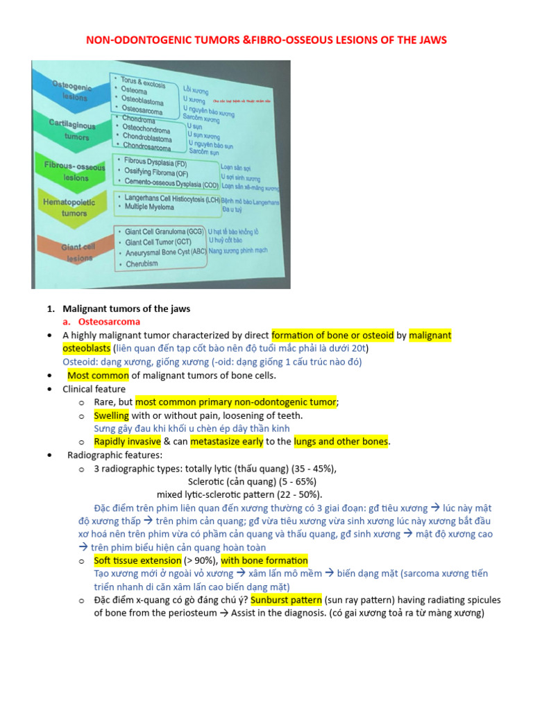 Non-Odontogenic Tumors &fibro-Osseous Lesions of The Jaws | PDF