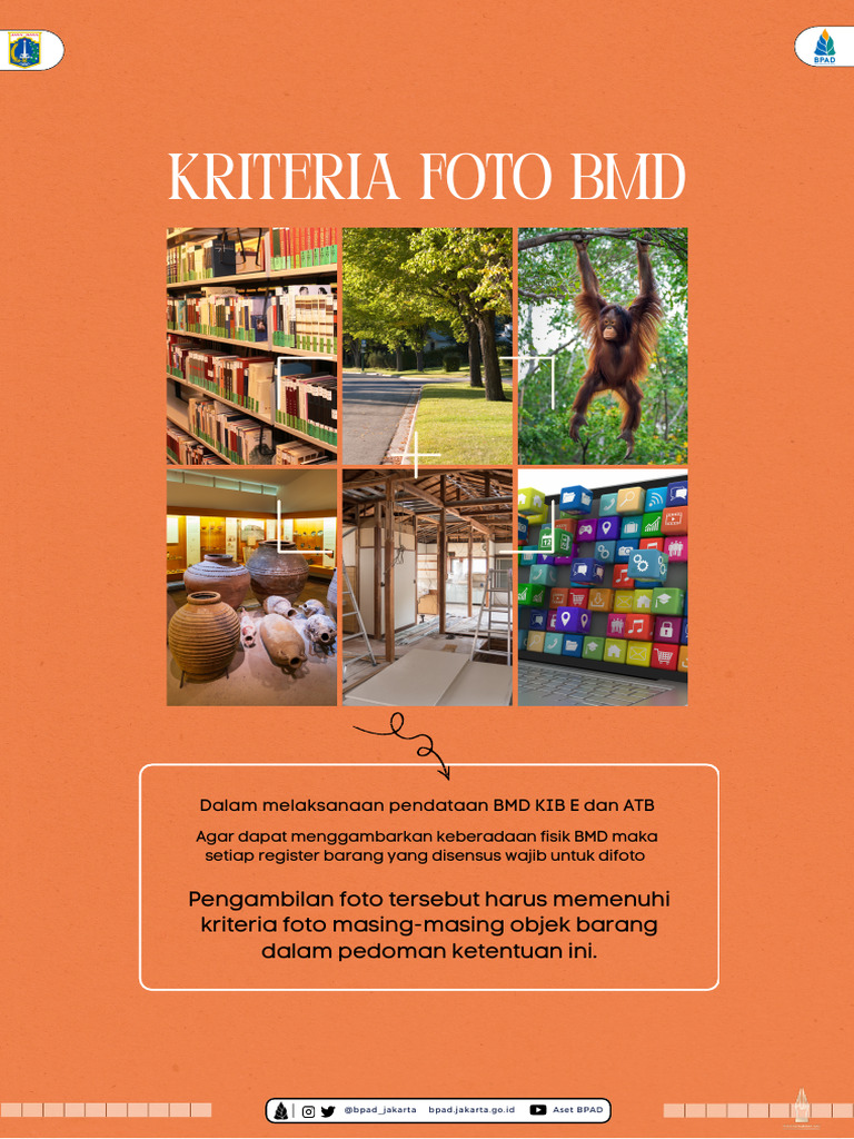 Infografis Kriteria Foto BMD (Sensus 2025) | PDF