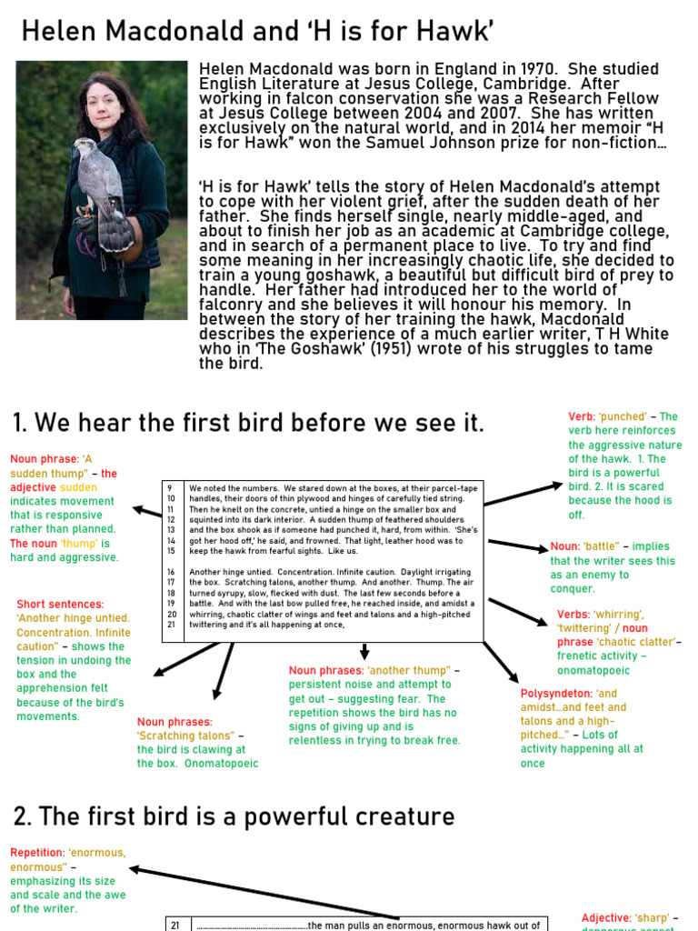 Helen Macdonald's 'H is for Hawk' Insights | PDF