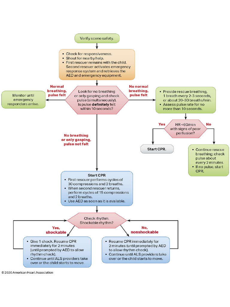 Algorithm-BLS Ped 2 Rescuers P5 | PDF