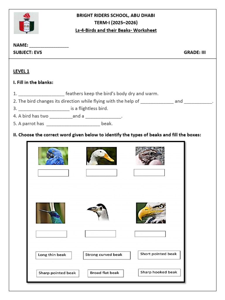 Gr3 - WS Ls - Birds and Their Beaks | PDF | Birds | Beak