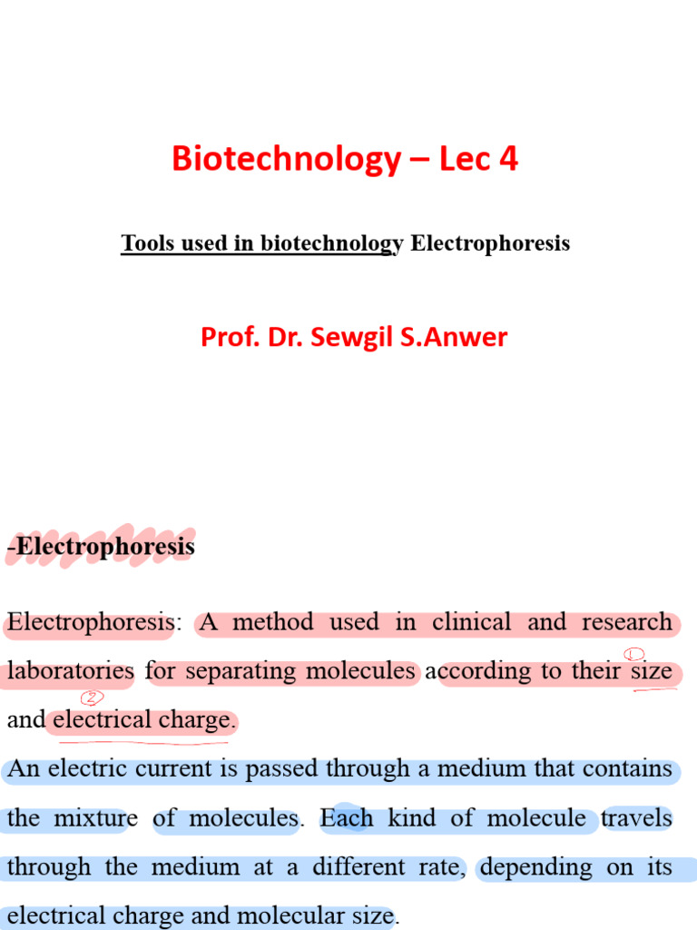 Electrophoresis Techniques in Biotechnology | PDF | Gel Electrophoresis ...