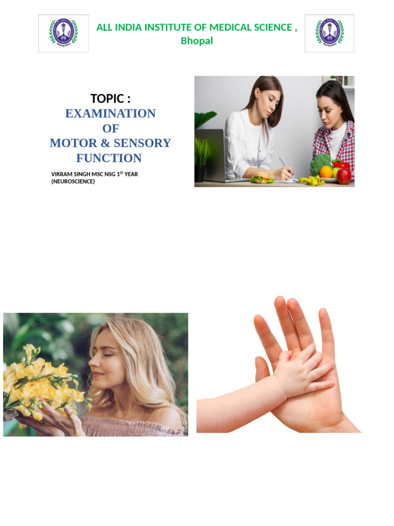 Presentation1 For Motor and Sensory | PDF