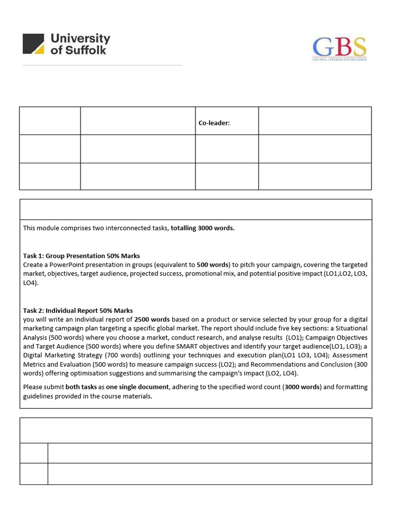 Digital Marketing Campaign Assignment Guide | PDF | Digital Marketing ...