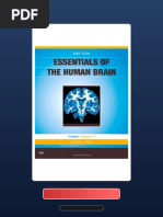 Neuroscience Exploring The Brain 4th Edition | PDF | Neuroscience ...