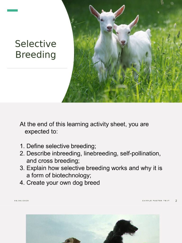 Understanding Selective Breeding Techniques | PDF | Selective Breeding ...