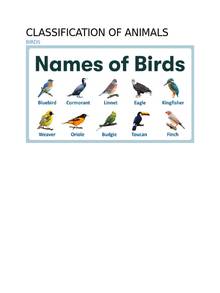 Classification of Animal4 | PDF