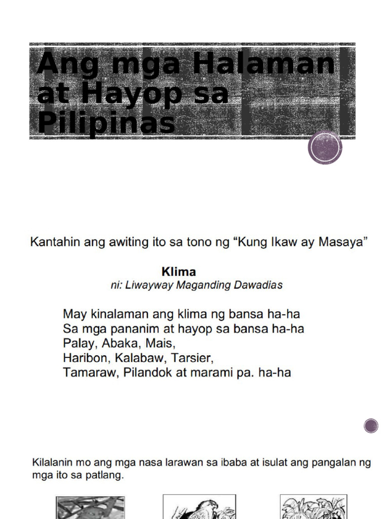 Ang Mga Halaman at Hayop Sa Pilipinas | PDF