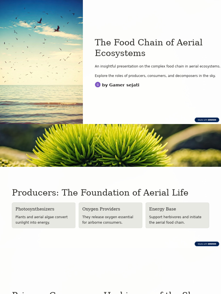 Aerial Food Chain Overview | PDF