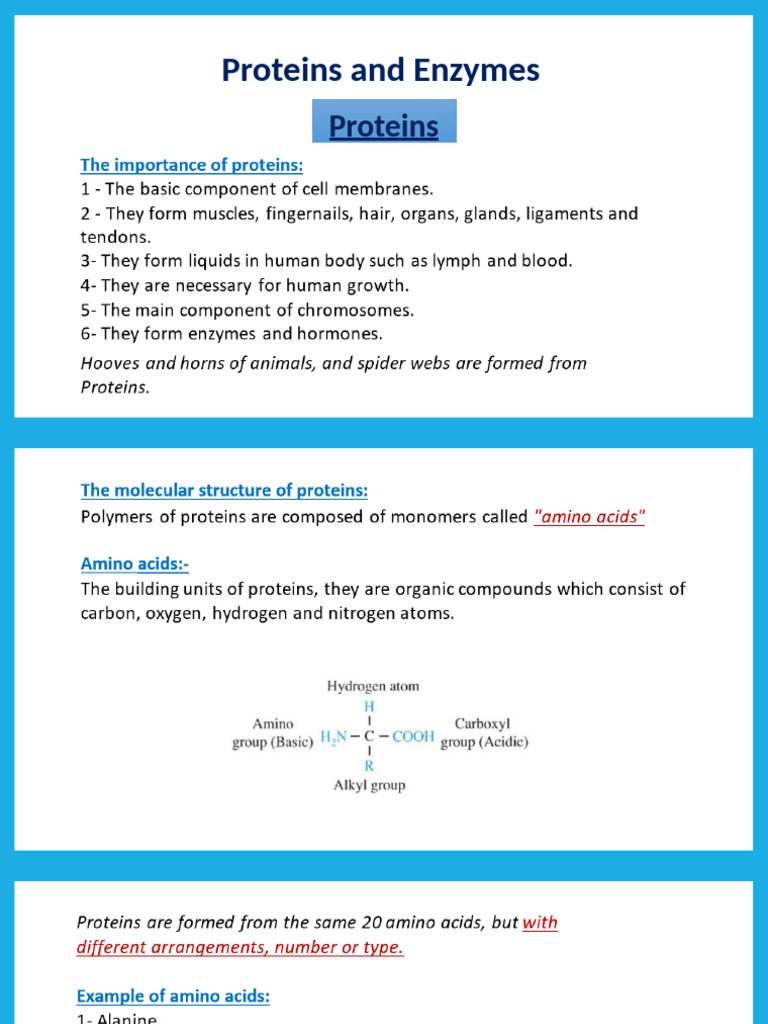 Proteins and Enzymes | PDF