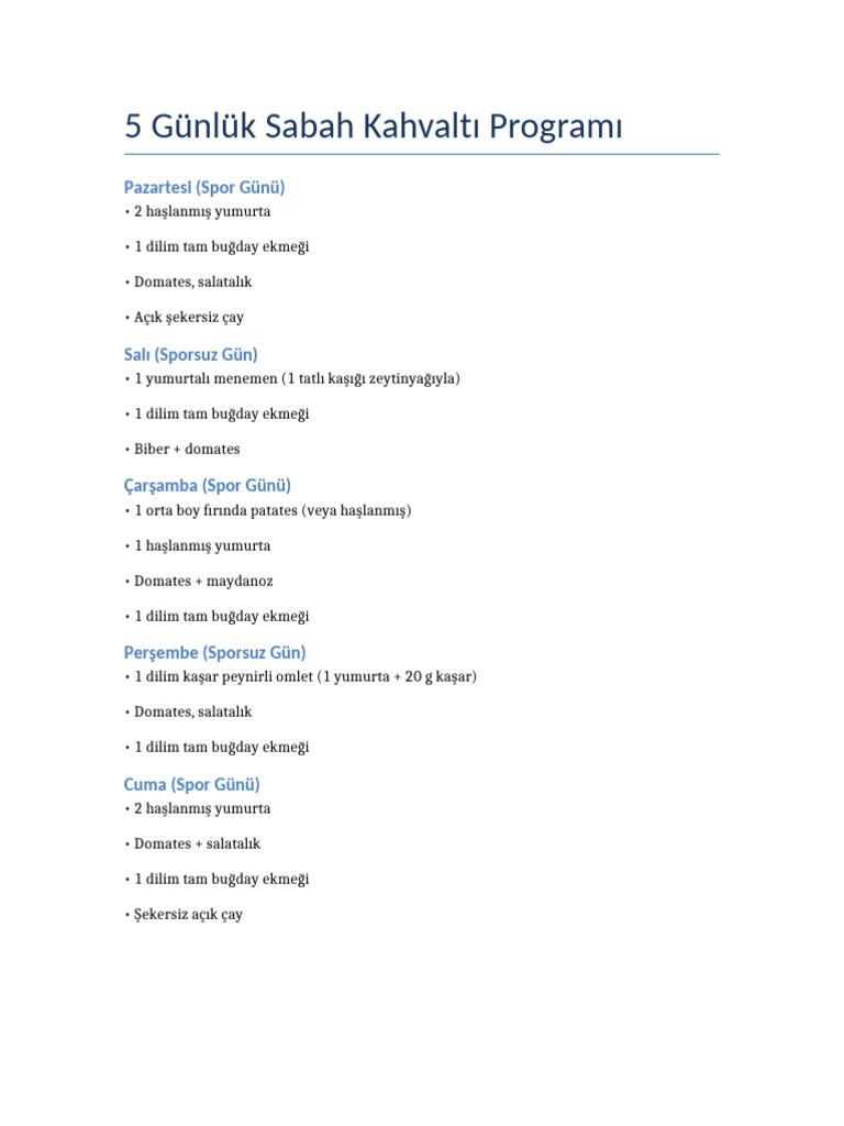 Berkay Kahvalti Programi | PDF