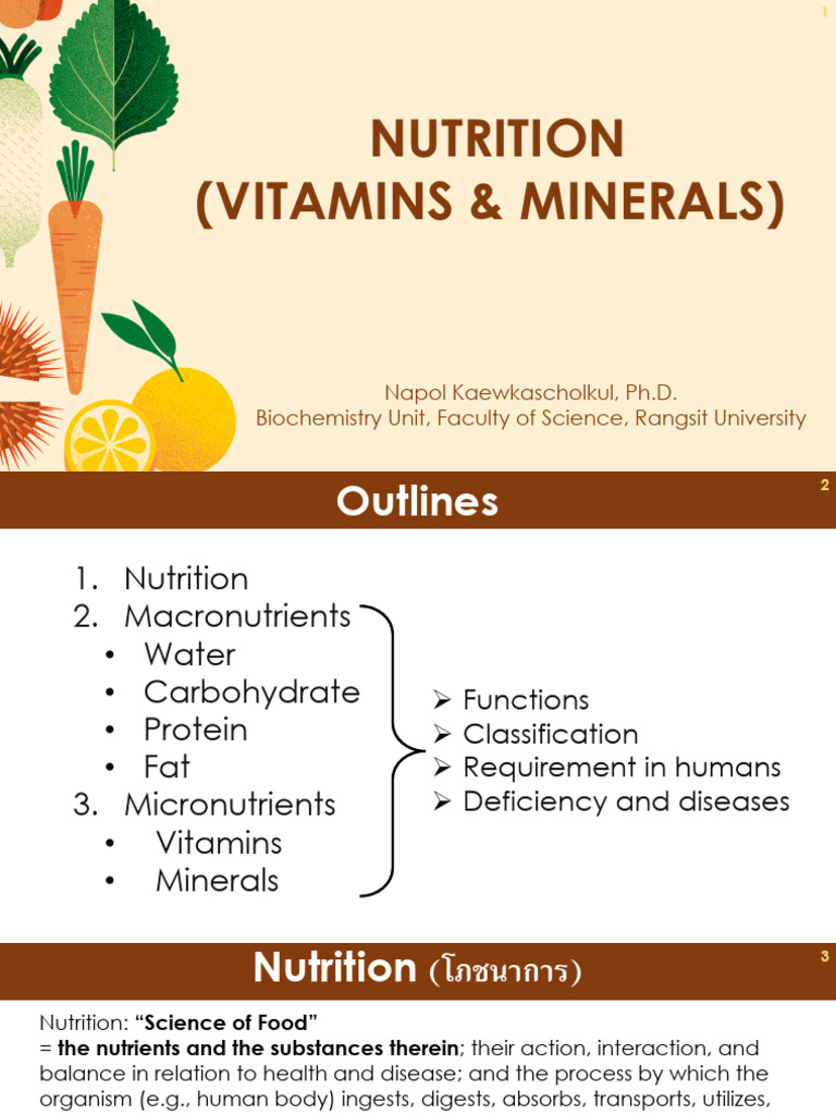 Nutrition Vitamin 1-65 Handout | PDF | Nutrients | Vitamin A