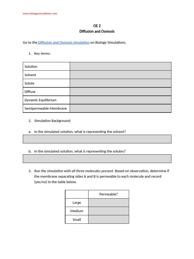 Diffusion and Osmosis | PDF | Osmosis | Chemistry