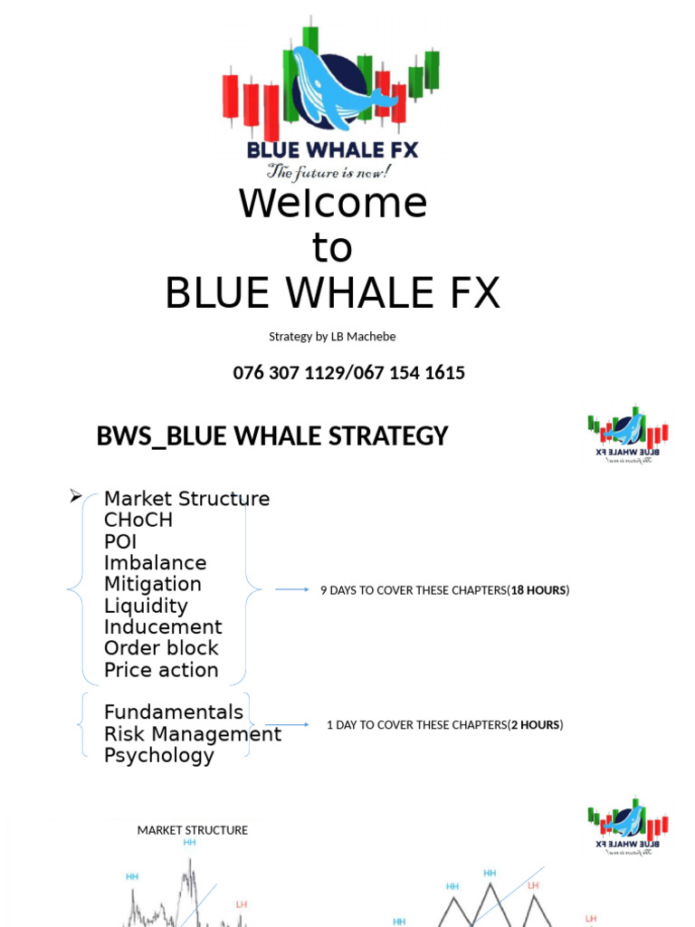BLUE WHALE FX Concept | PDF