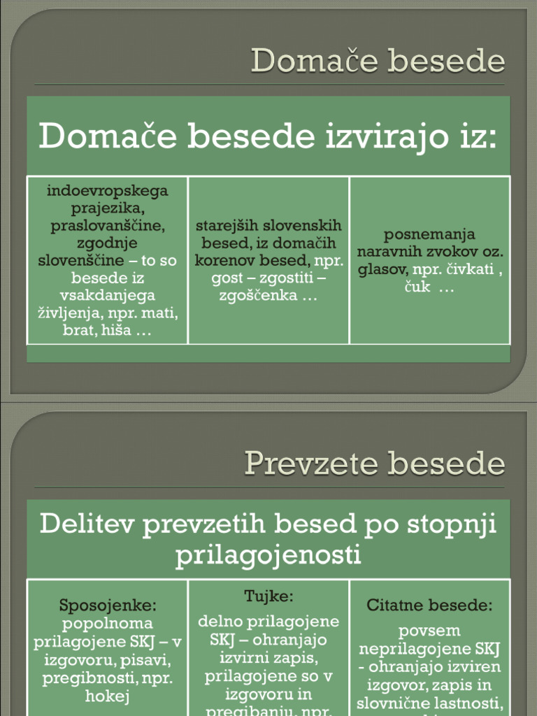 Domace Prevzete Besede | PDF