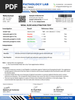 Full Info (Educ & Career) : Anacleto Del Rosario | PDF | Communicable ...
