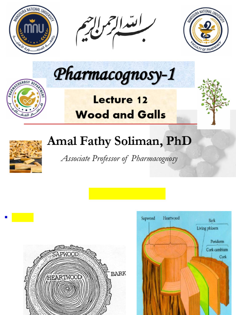 Pharmacognosy: Wood and Galls Overview | PDF