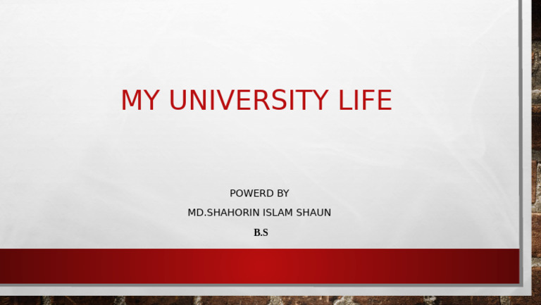 My University Life | PDF