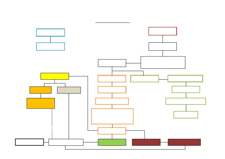 Alur Bagan Hospitalisasi | PDF