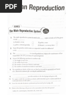 2025 03 13 Lim LFSC GR12 Pre Test MG | PDF | Nucleotides | Biology