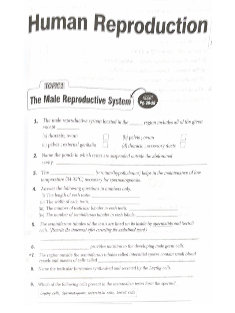 Human Reproduction Assignment Sheet | PDF
