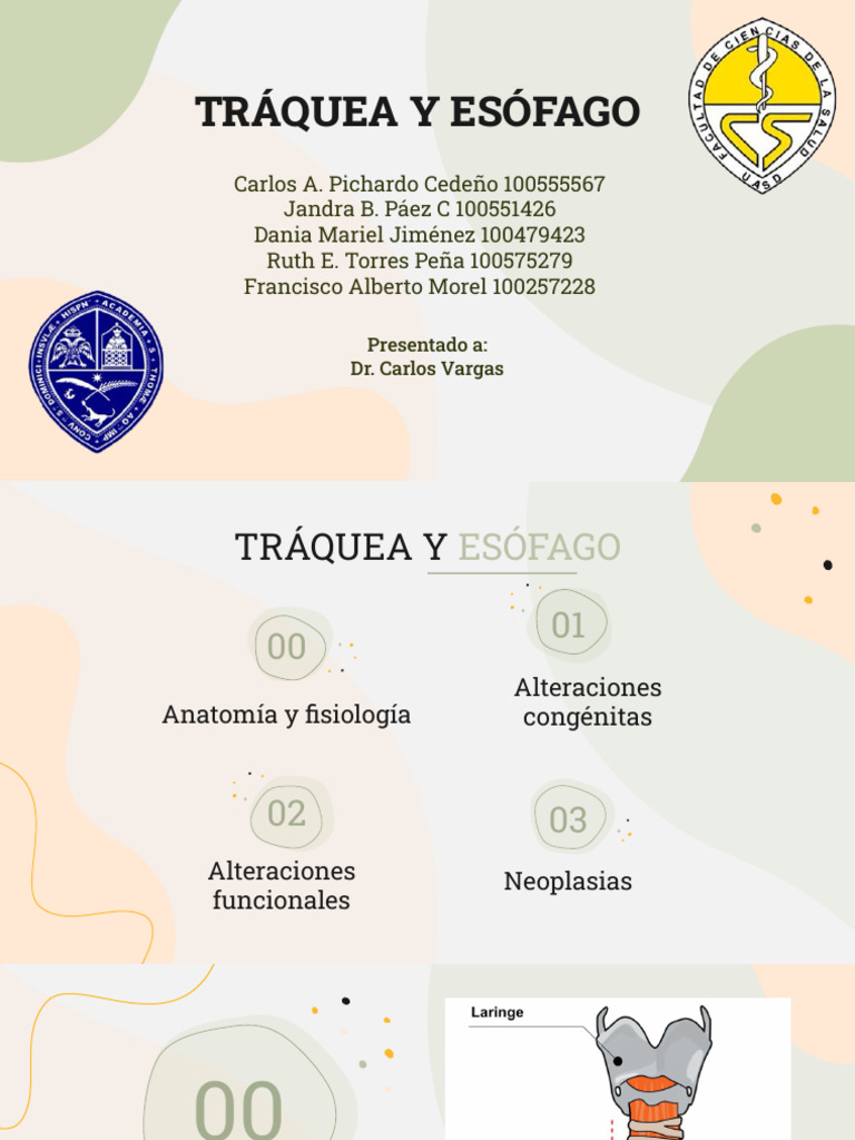 Tráquea y Esófago. | PDF | La enfermedad por reflujo gastroesofágico ...