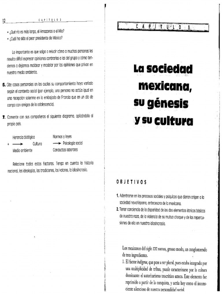 Choque Entre Culturas | PDF