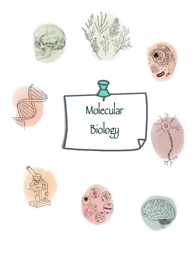 Molecular Biology Class Notes | PDF | Gene | Messenger Rna
