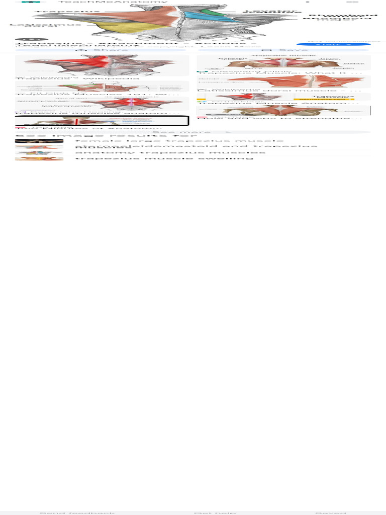 Trapezius Muscles - Google Search | PDF