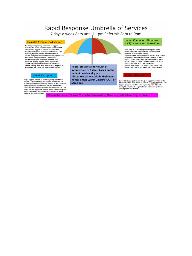 Rapid Response Services | PDF