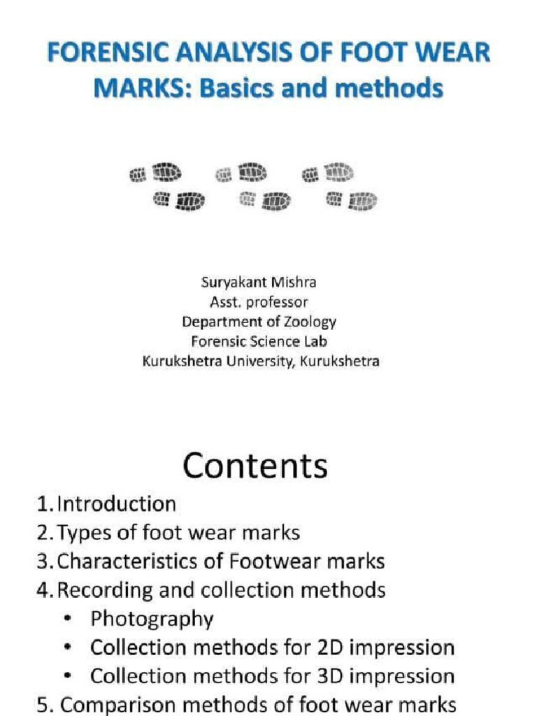 Foot Prints | PDF