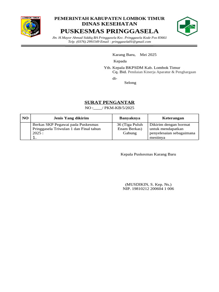 Surat Pengantar SKP 2024 | PDF