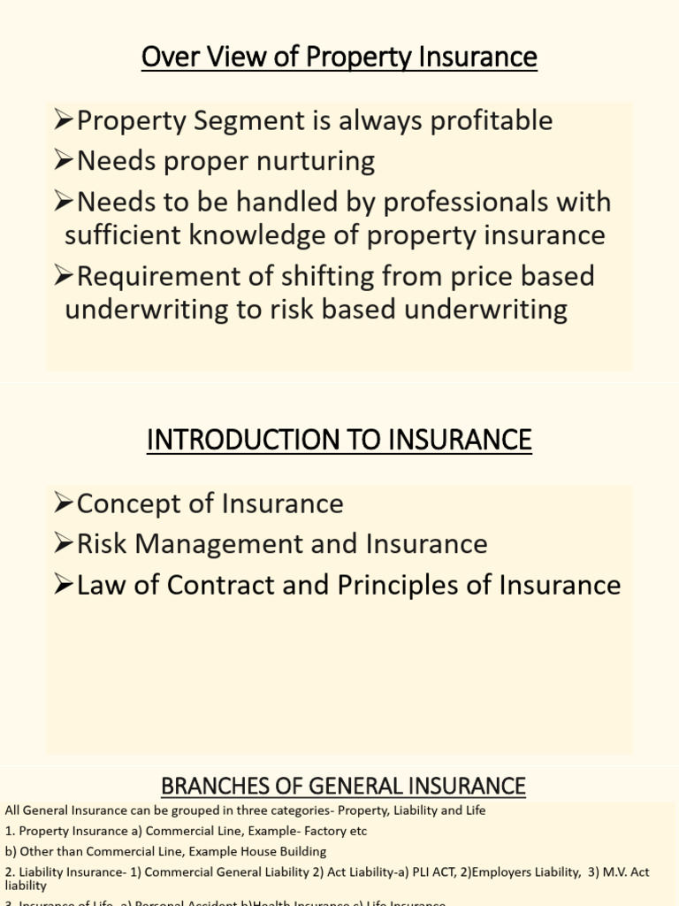 Property Insurance Overview and Insights | PDF | Insurance | Risk