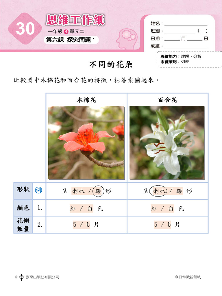 Gs 1t4c6 ws30 SB | PDF