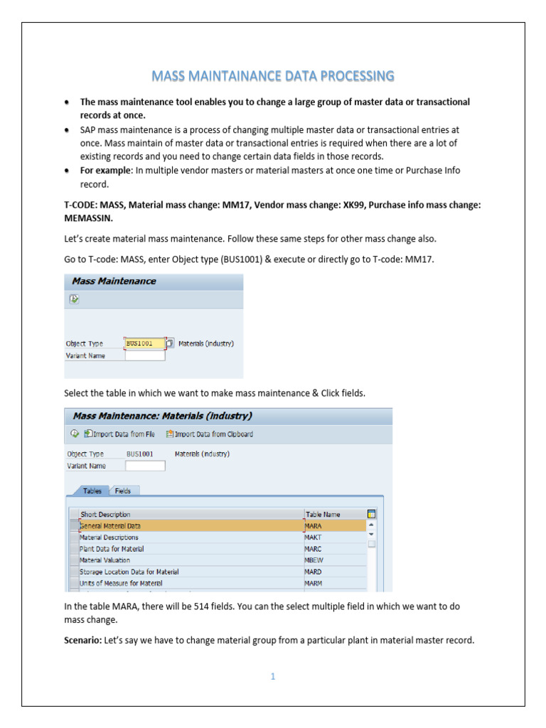 SAP Mass Data Maintenance Guide | PDF
